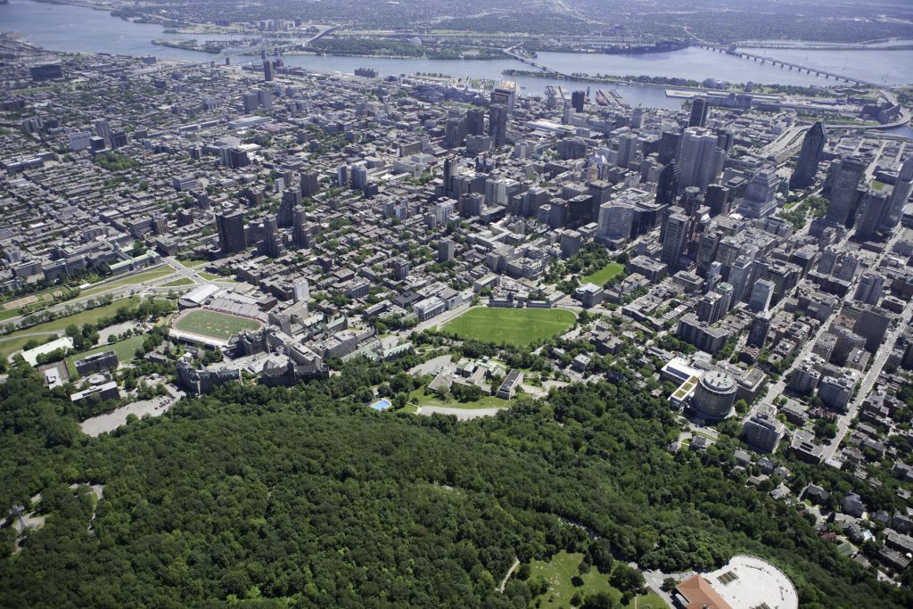 Dea van Lierop, Assistant Professor - TRaCE McGill